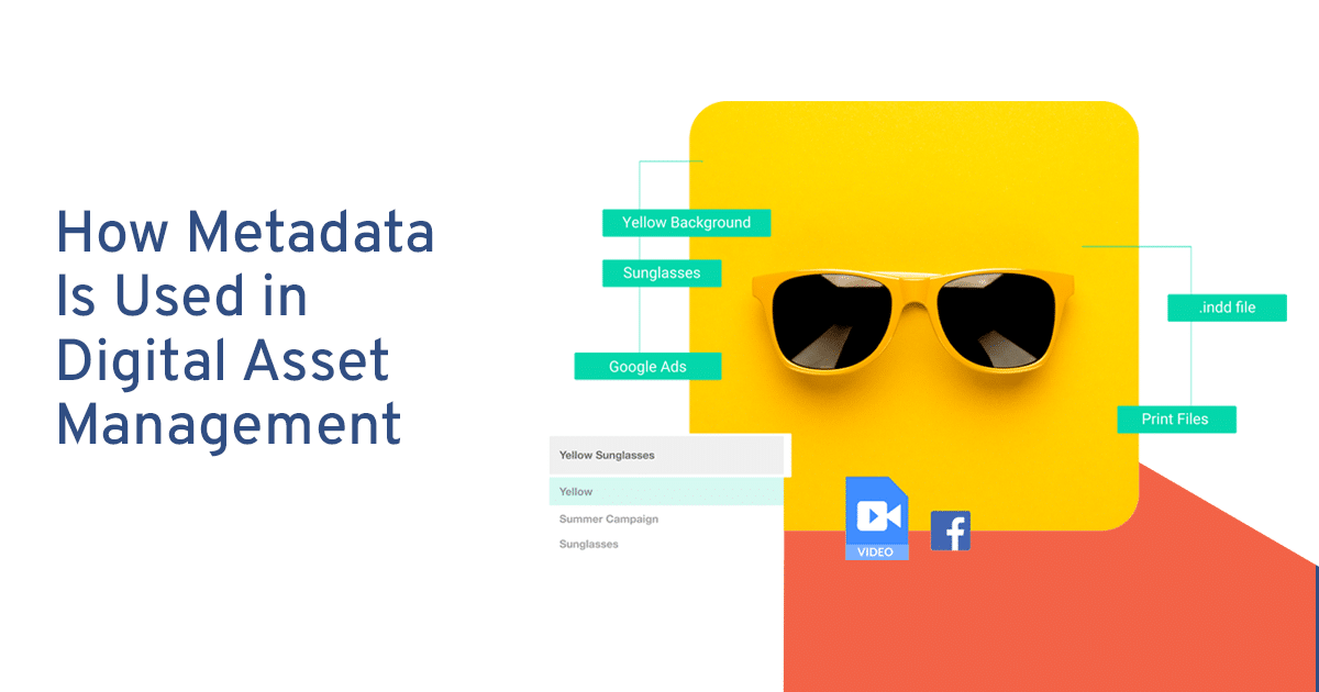 What Is Metadata in Digital Asset Management? | Tenovos